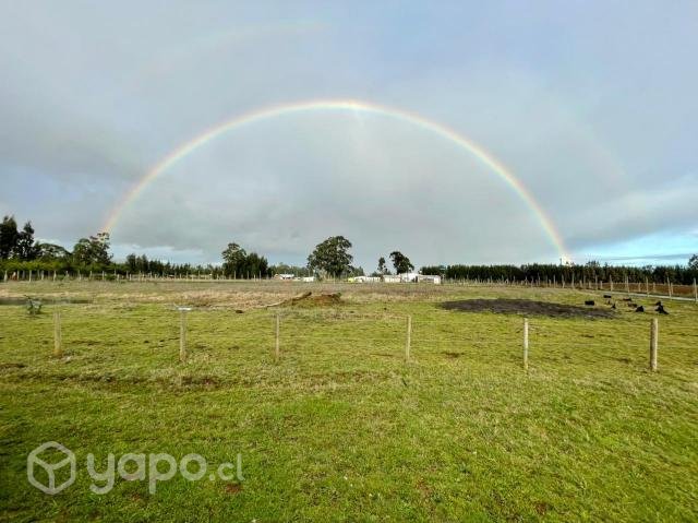 Estate at Home - , Biobío Cañete