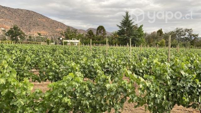 Estate at Home - , Rm (metropolitana) Curacaví